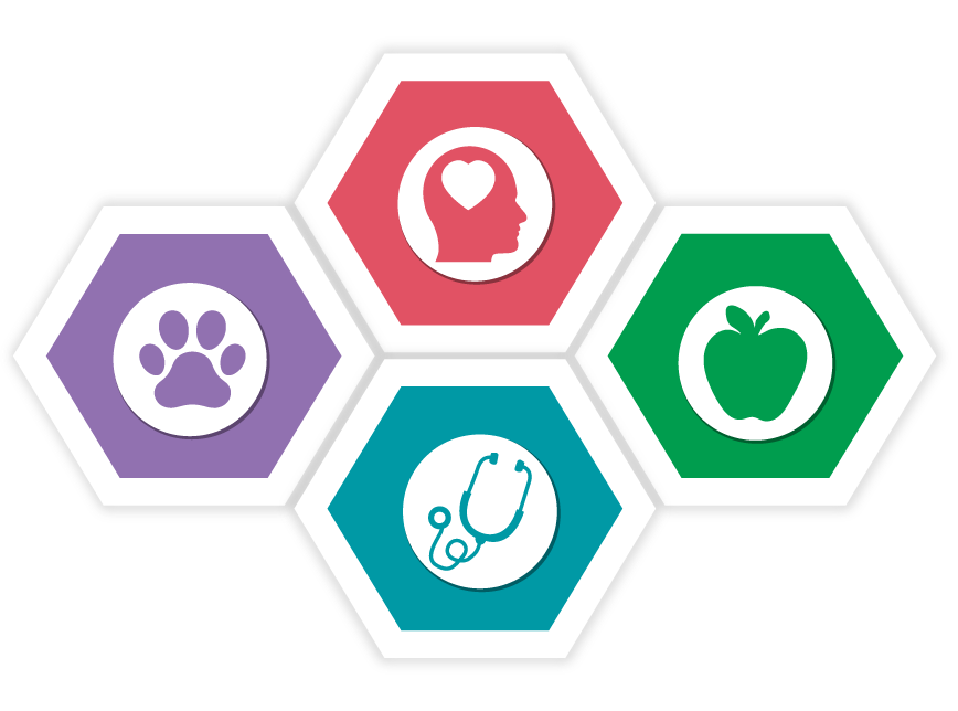 Programa de Asistencia a Empleados | Orienta PAE®